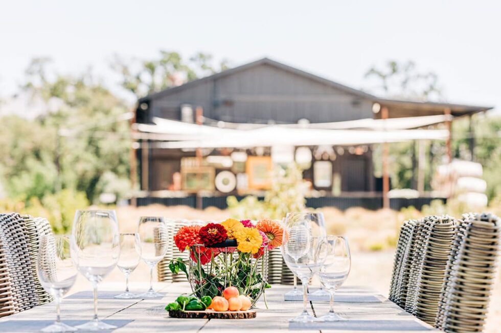 Napa Winery Picnic | Vineyard Picnic Grounds & Wine